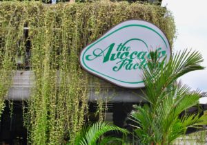 The Avocado factory, Canggu - Glowcation